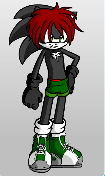 Rider the Hedgehog | Mobius Paradox Wiki | Fandom