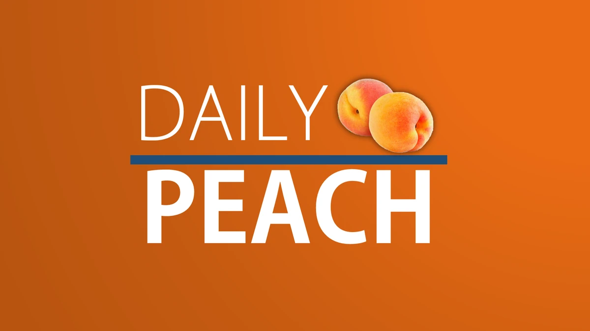 Daily Peach | Mock Election Wiki | Fandom