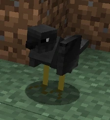 Ptaki | Mo' Creatures Wiki | Fandom