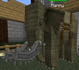 Słoń | Mo' Creatures Wiki | Fandom