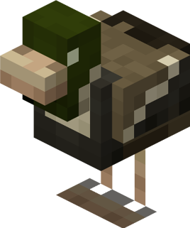 Duck - Official Mo' Creatures Wiki
