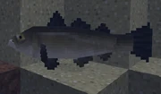 Medium Fish - Official Mo' Creatures Wiki