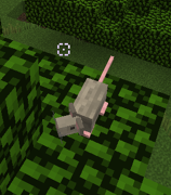 Mouse - Official Mo' Creatures Wiki