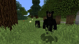 Bear - Official Mo' Creatures Wiki