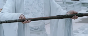 Suibian | Grandmaster of Demonic Cultivation Wiki | Fandom