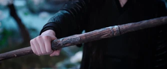 Suibian | Grandmaster of Demonic Cultivation Wiki | Fandom