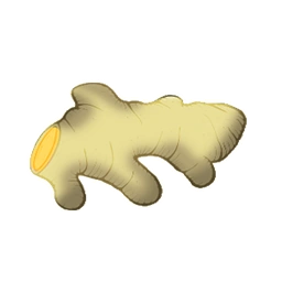 Ginger | Modding Paws Wiki | Fandom