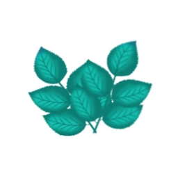 Mint | Modding Paws Wiki | Fandom