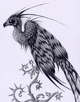 Callidora Star | Model Hogwarts Wiki | Fandom