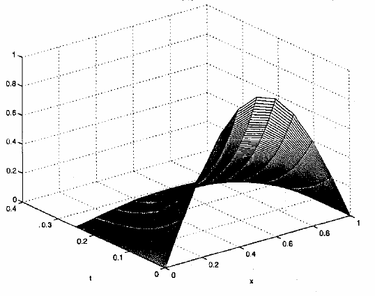 6 Numerical methods for parabolic PDEs | Wiki Modeladomatematico | Fandom