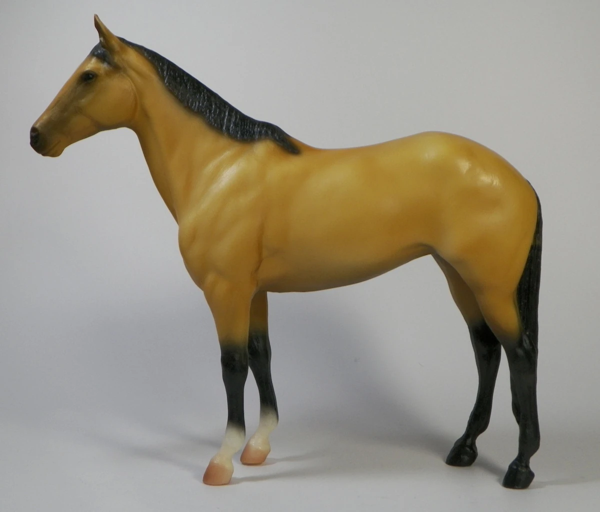 Bolya | Model Horse Wiki | Fandom