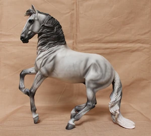 Alborozo | Model Horse Wiki | Fandom