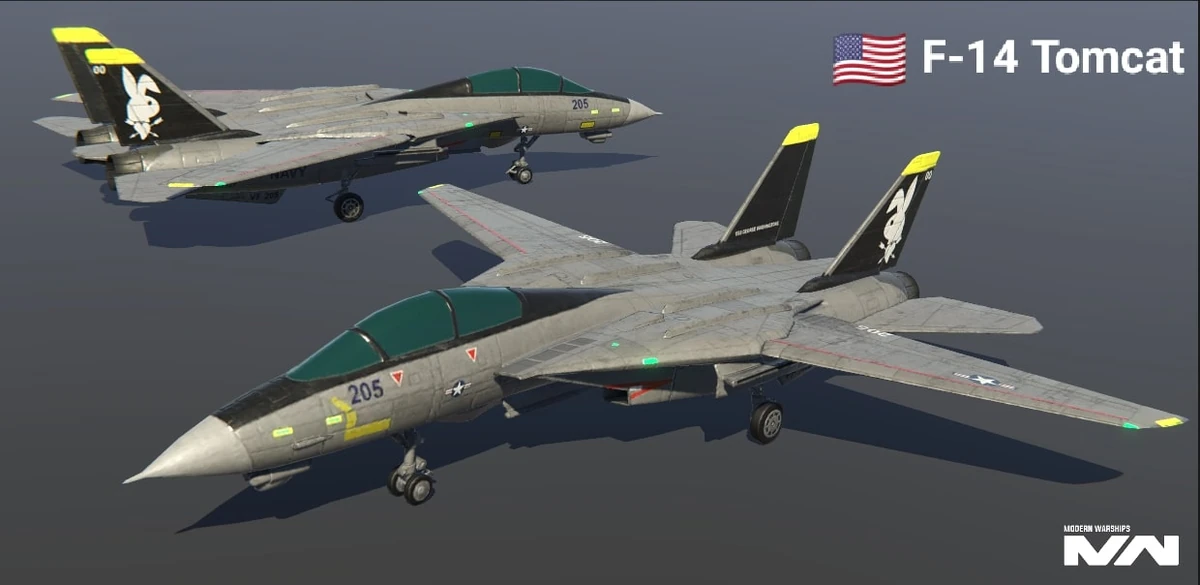 F-14 Tomcat | Modern Warships Wiki | Fandom