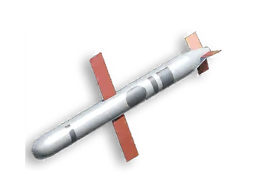 Tomahawks Missile