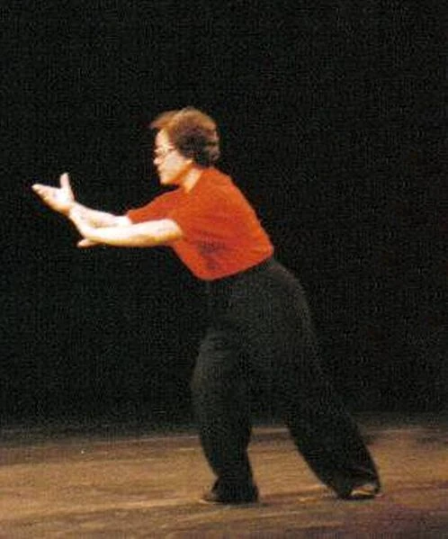Wu-Style Taijiquan | Modern Wushu Wiki | Fandom