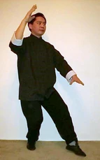White Crane Spreads Its Wings (Taijiquan Movement) | Modern Wushu Wiki ...