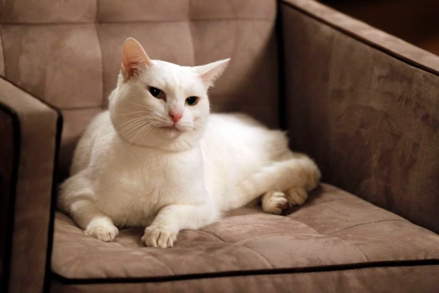 Larry | Modern Family Wiki | Fandom