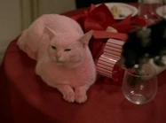 Larry | Modern Family Wiki | Fandom