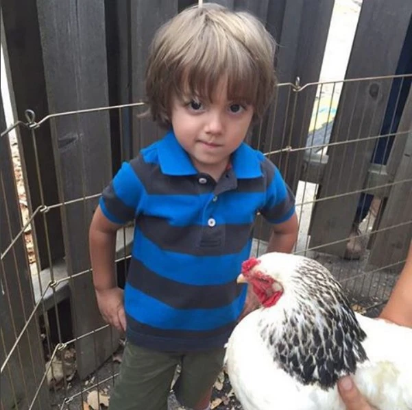 Modern Family | Modern Family Wiki | Fandom