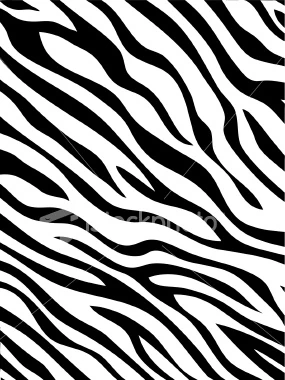 Zebra Camo | Modernwarfareplus Wiki | Fandom