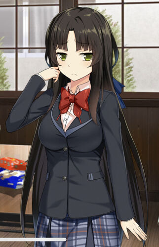 Enju Saion Ji Moe Ninja Girls Wiki Fandom