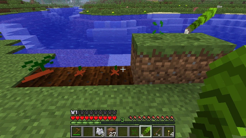 Wasabi Lifecycle | Mo' Foods and Crops Wiki | Fandom