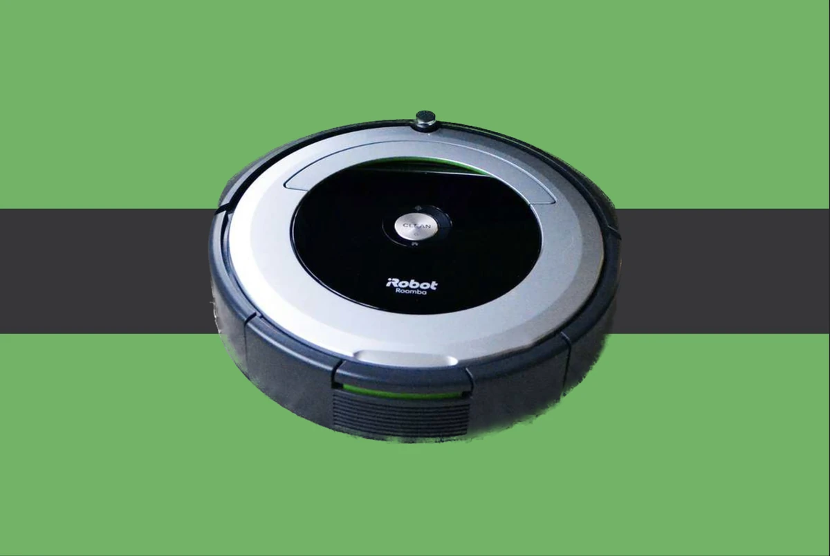 Roombagender | Mogai Genders Wiki | Fandom