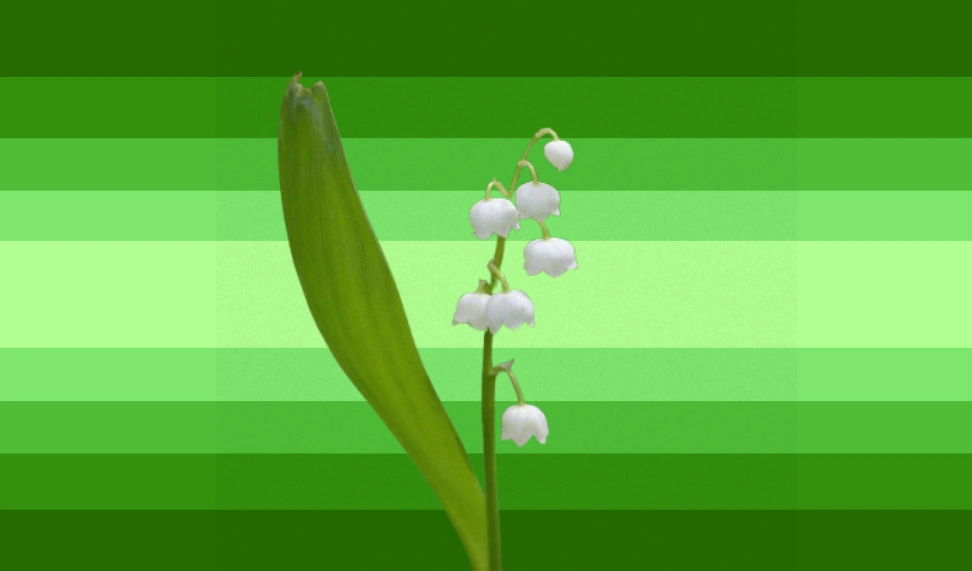 Lilyofthevalleygender | Mogai Genders Wiki | Fandom