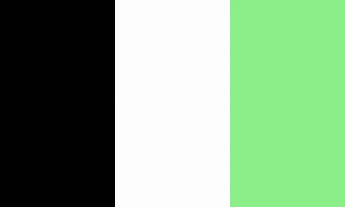엔보릭(Enboric) | MOGAI Pride-Flag 위키 | Fandom