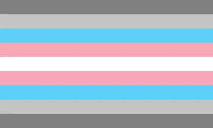 데미트랜스젠더(Demi Transgender) | MOGAI Pride-Flag 위키 | Fandom