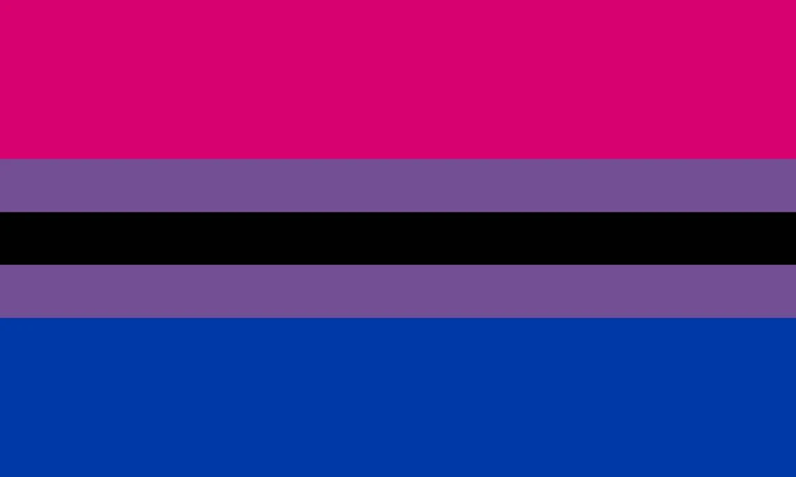 흑인 바이(Black Bi) | MOGAI Pride-Flag 위키 | Fandom