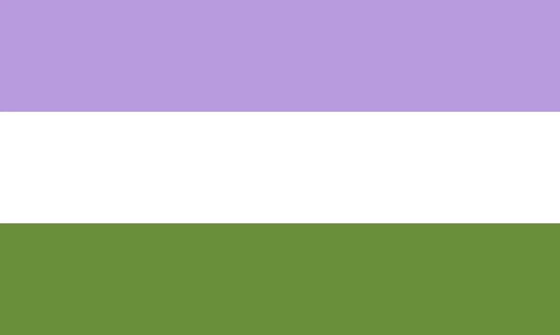 젠더퀴어(Genderqueer) | MOGAI Pride-Flag 위키 | Fandom