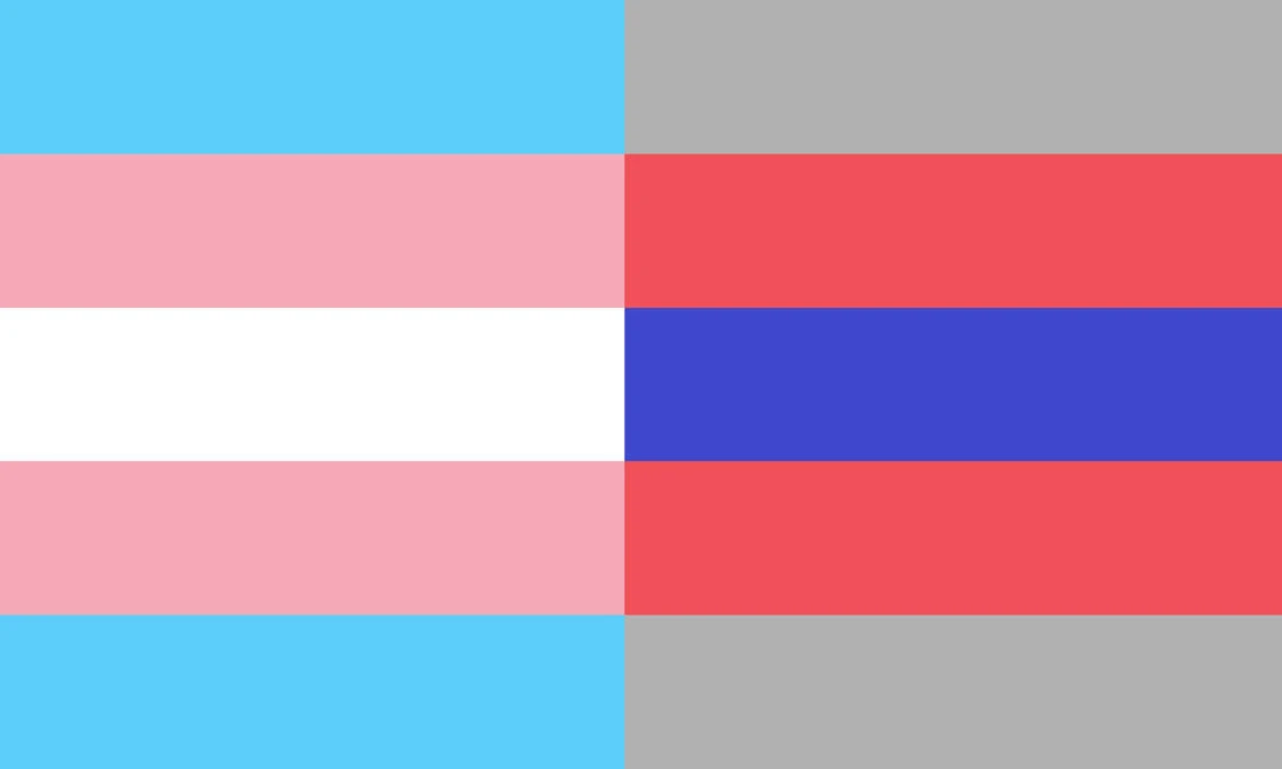 시스 트랜스(Cis Trans) | MOGAI Pride-Flag 위키 | Fandom