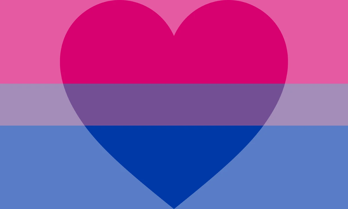 Biromantic | MOGAI Wiki | Fandom