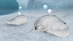 Pokara | Wiki L'encyclopédie Moga | Fandom