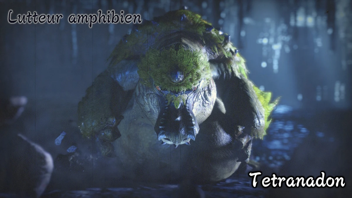 Tetranadon | Wiki L'encyclopédie Moga | Fandom