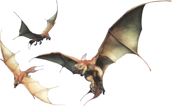 Raphinos/Galerie de Photos | Wiki L'encyclopédie Moga | Fandom