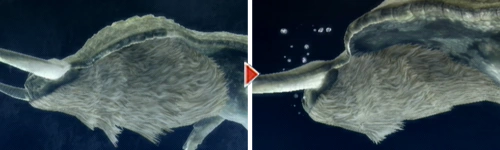 Ceadeus/Guides | Wiki L'encyclopédie Moga | Fandom