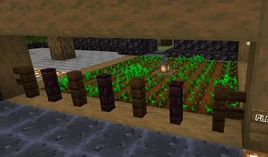 Public Farms | Mogswamp Superflat Wiki | Fandom