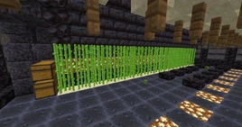 Public Farms | Mogswamp Superflat Wiki | Fandom