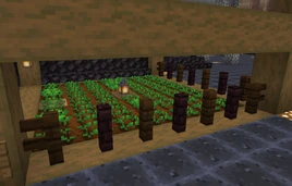 Public Farms | Mogswamp Superflat Wiki | Fandom