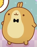 Pinco | Molang Wikia | Fandom