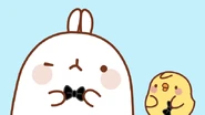 Molang (character)/Gallery | Molang Wikia | Fandom