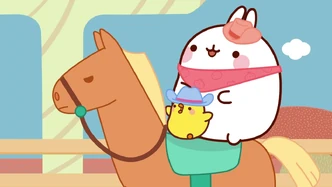Cow(s) | Molang Wikia | Fandom