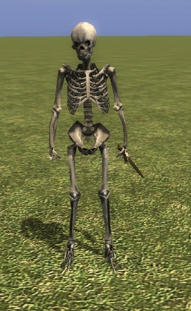 Skeleton - Level 7 | MoliorRS Wiki | Fandom