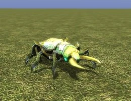 Cockroach drone - Level 3 | MoliorRS Wiki | Fandom