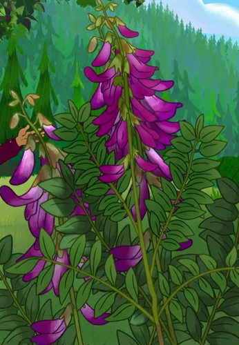 Masu | Molly of Denali Wiki | Fandom