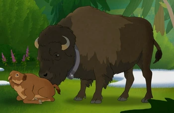 Wood bison | Molly of Denali Wiki | Fandom