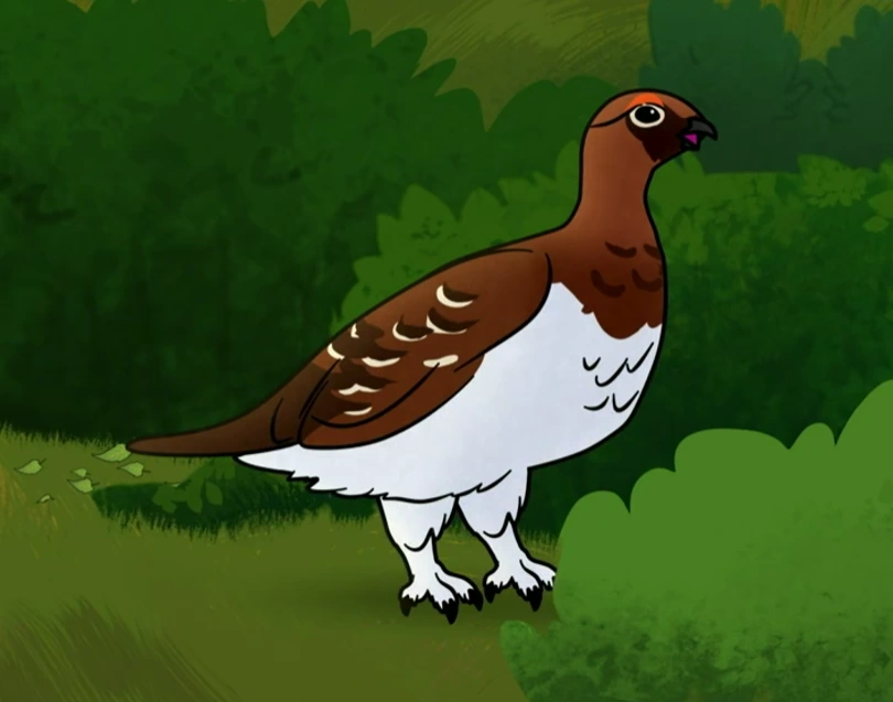 Willow ptarmigan | Molly of Denali Wiki | Fandom