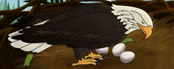 Eagle | Molly of Denali Wiki | Fandom